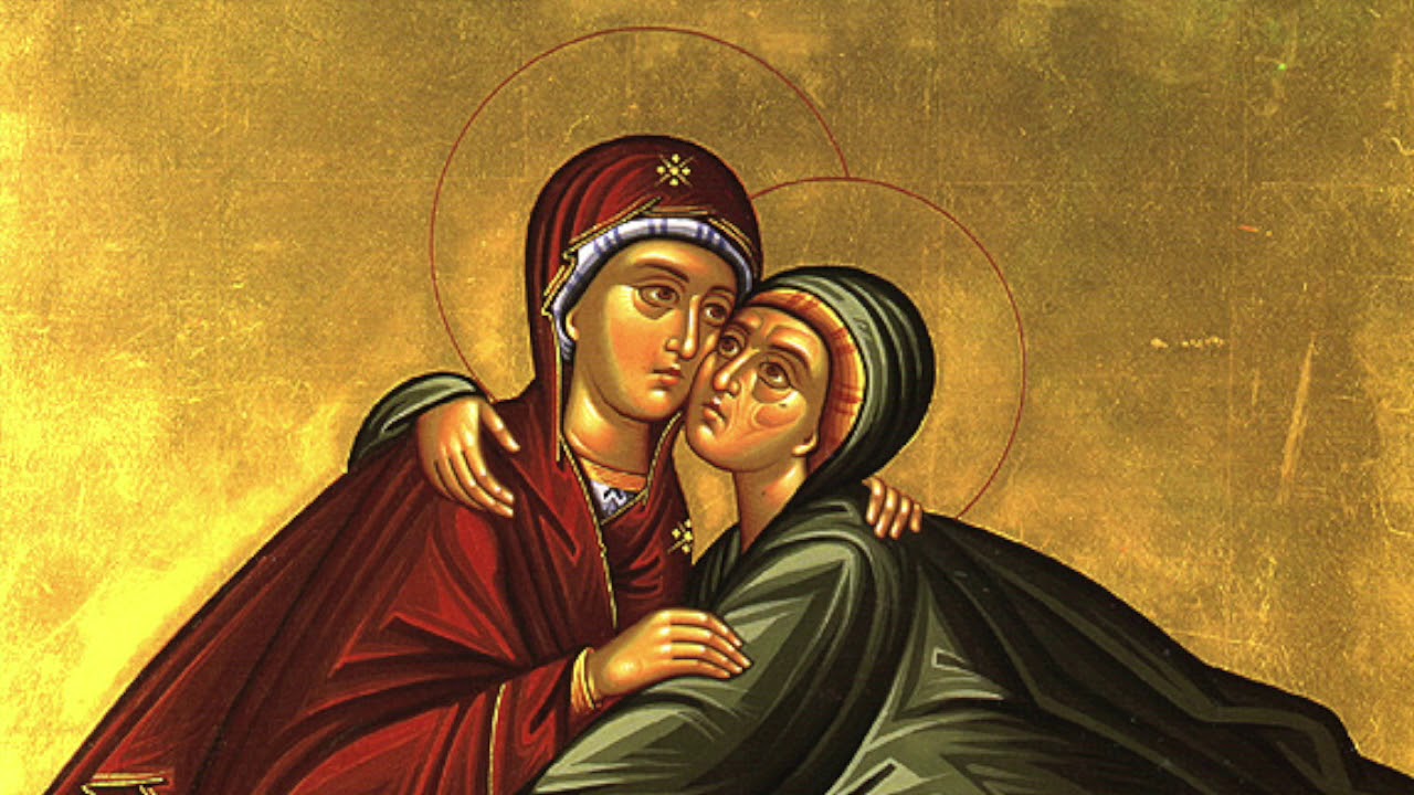 Homily for the Visitation of St. Mary to St. Elizabeth - YouTube