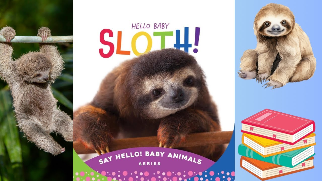 Hello Baby Sloth | Read along and aloud Book for Babies, Toddlers ...