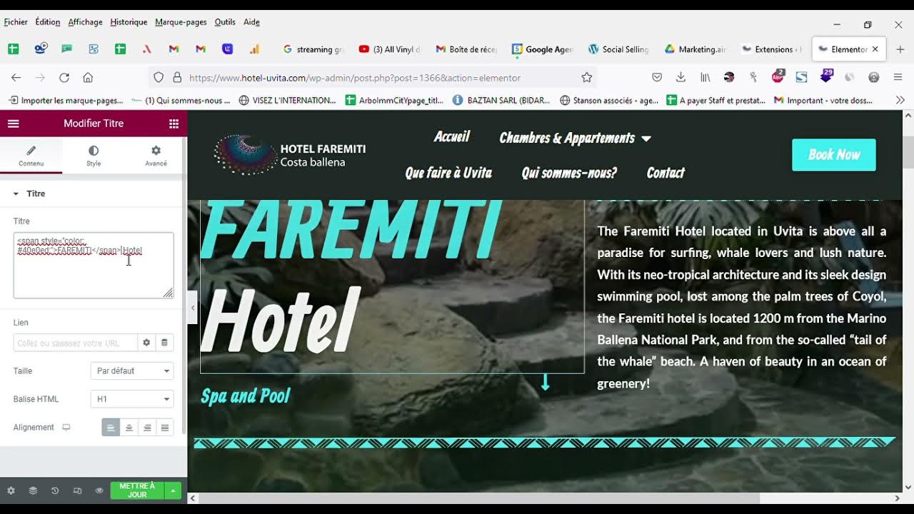 Comment Traduire un site Wordpress + Elementor + Polylang ? - YouTube