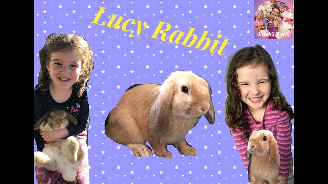 Lucy Rabbit - YouTube