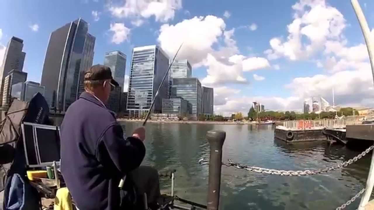 Urban fishing London -The Docklands Diaries - Part 7, The Yellow Dock ...