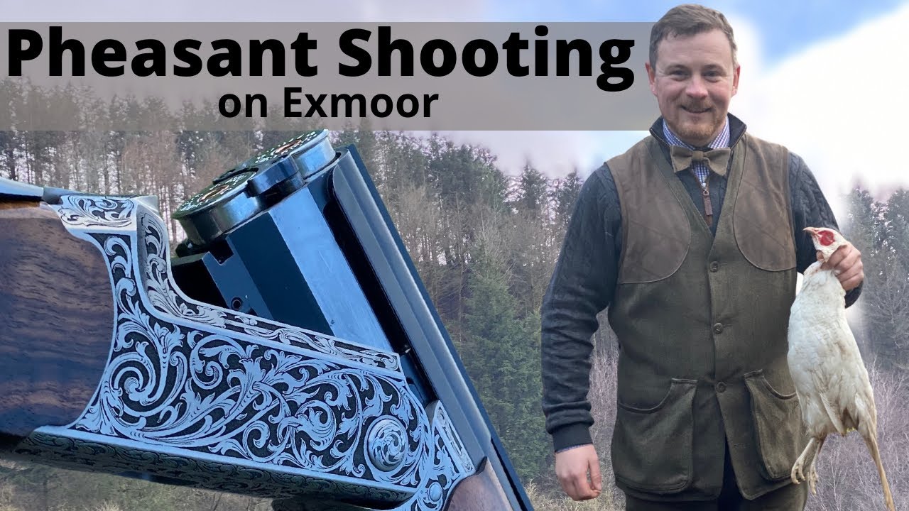 Pheasant Shooting on Exmoor | High Birds | December 2021 - YouTube