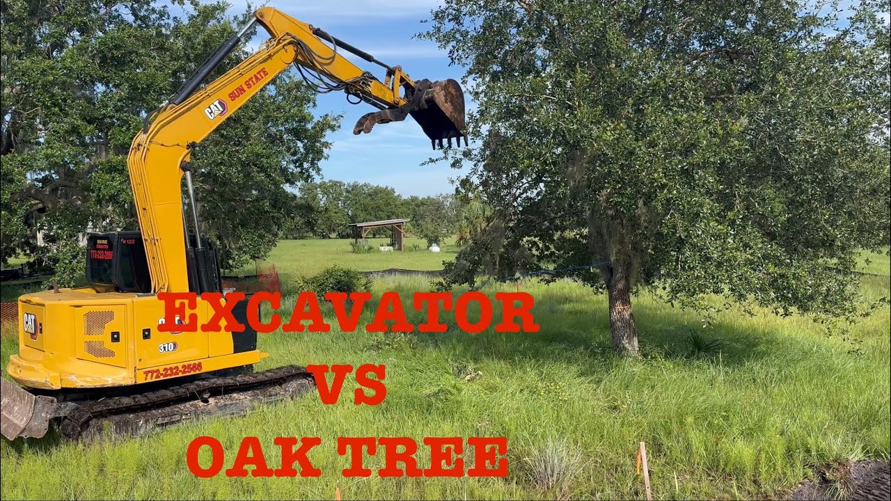 Excavator VS Oak Tree - YouTube