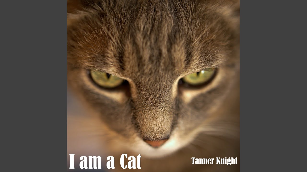 I Am a Cat - YouTube