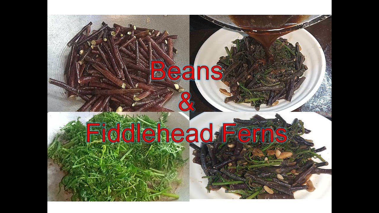 Beans and Fiddle Ferns | Ito ang gawin mo sa batong at pako | Vegetable ...