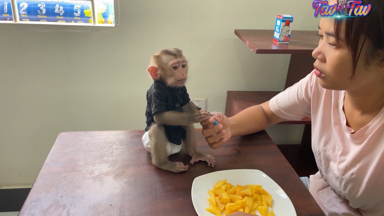 Baby Tav Tav So Smart Sitting Straight Obedient Mom When eating - YouTube