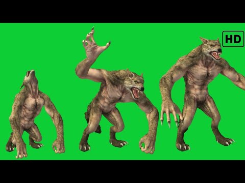 Werewolf green screen video hd no copyright || Green screen wolf ...