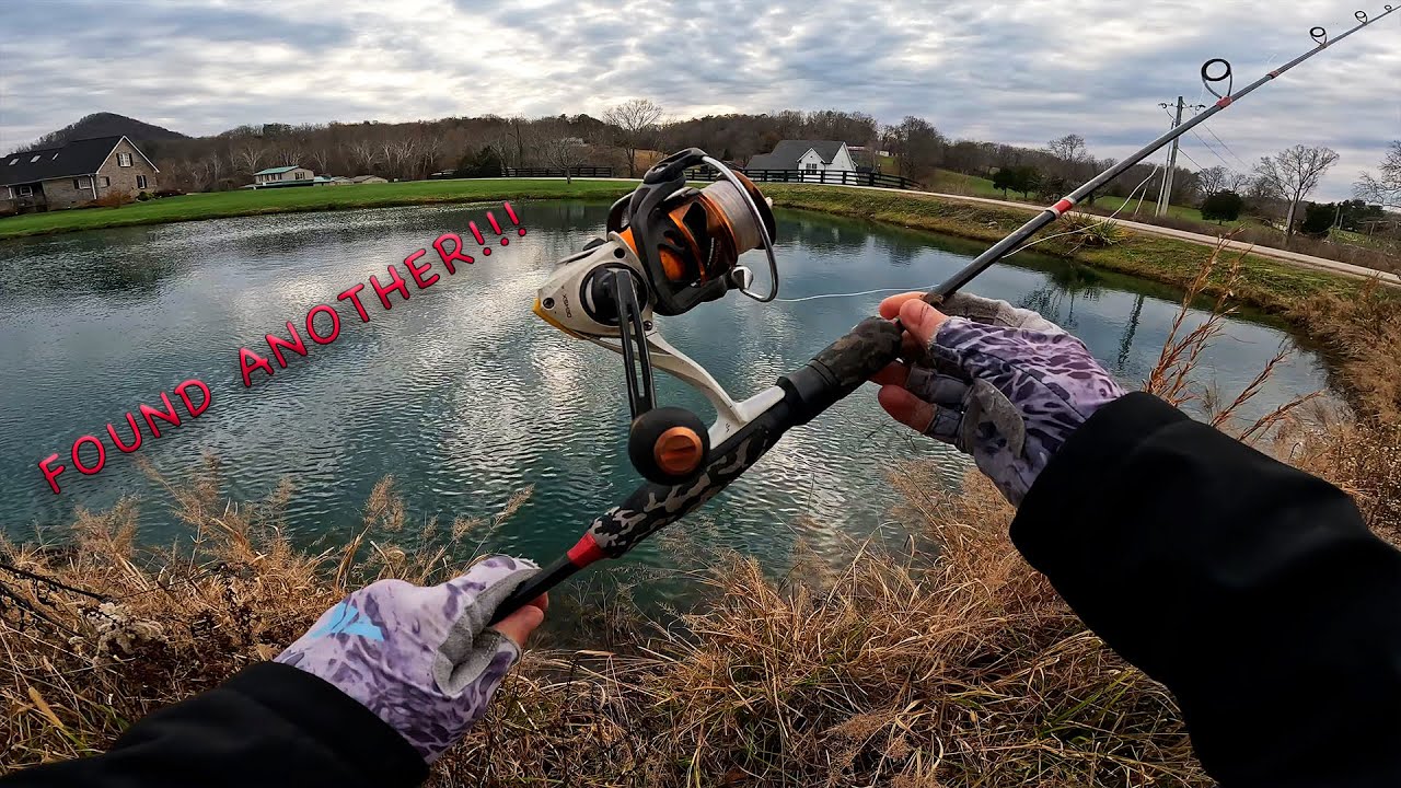 HOW DO I KEEP FINDING THESE!!! - YouTube