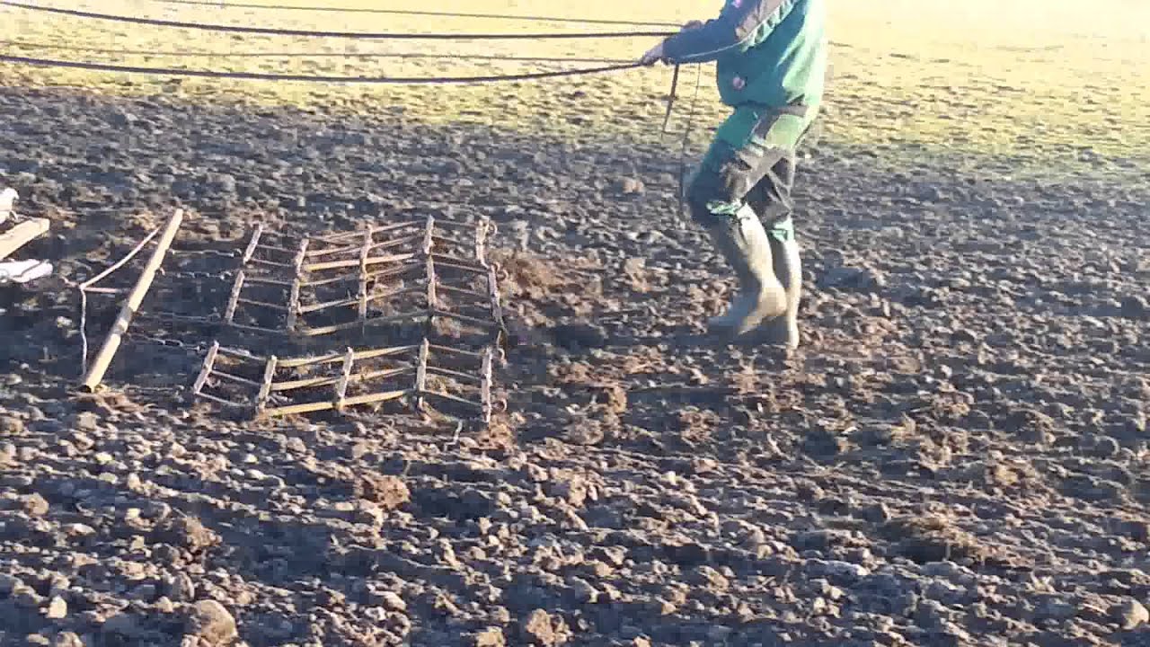 Eggen mit 3 - YouTube