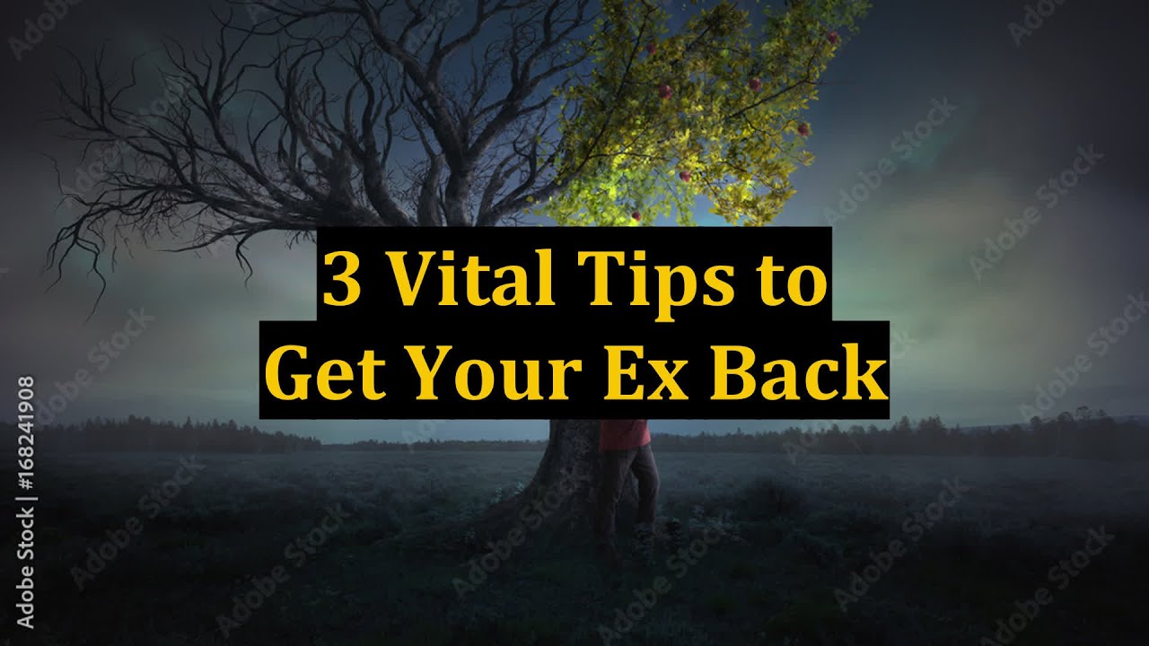 3 Vital Tips to Get Your Ex Back - YouTube