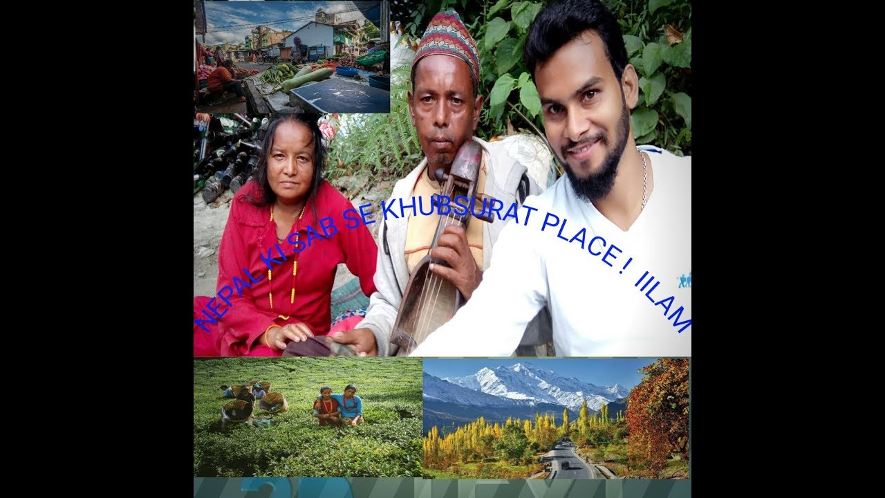 Antu danda | Garden | Forest | Himalayas | Ilam | Nepal | Video..3 ...