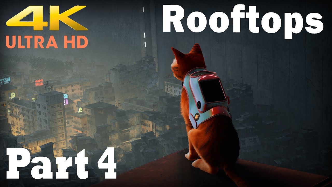 STRAY GAMEPLAY ROOFTOPS - PART 4: Walkthrough - No Commentray - YouTube