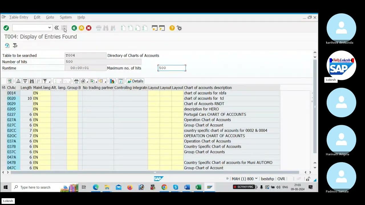 How to Search Types of DATA IN SAP FICO S4 HANA TABLES (SE16N) - YouTube