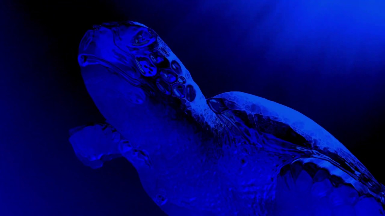 The Big Blue Project, 2018 - YouTube