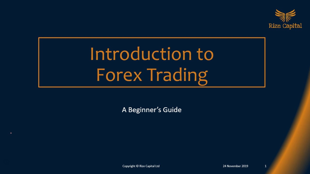 Understanding the Forex Market – A Detailed Introduction for Beginners ...