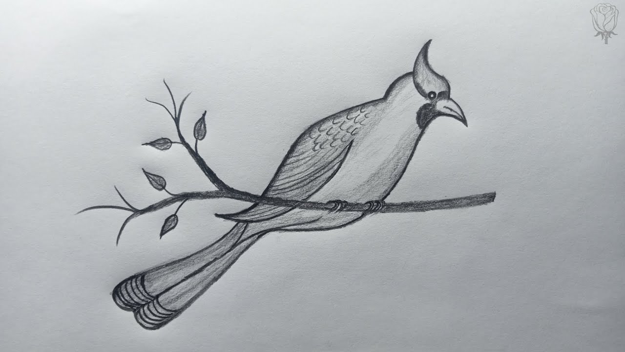 Bird drawing || How to draw bird scenery with pencil sketch step by ...