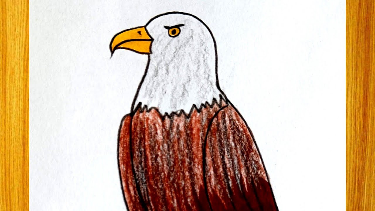 How to draw an Eagle | very easy | Step by step Eagle Drawing | Rupesh ...