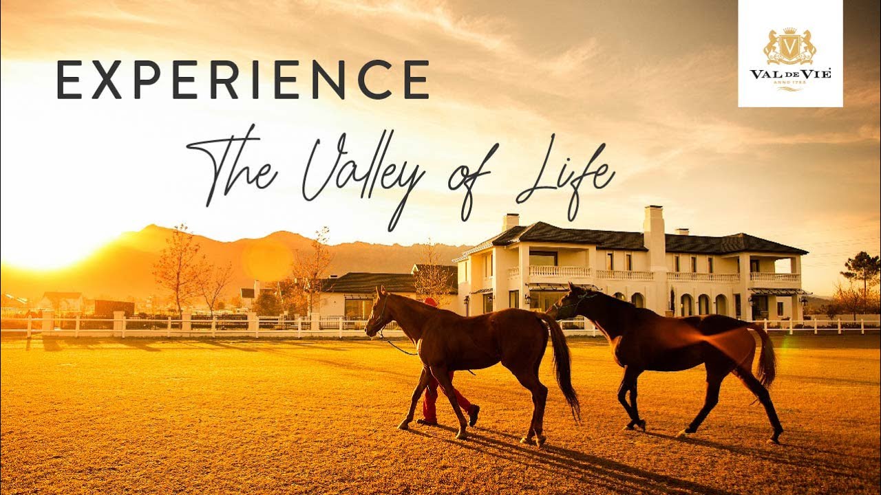 Experience the Valley of Life | Val de Vie Estate - YouTube