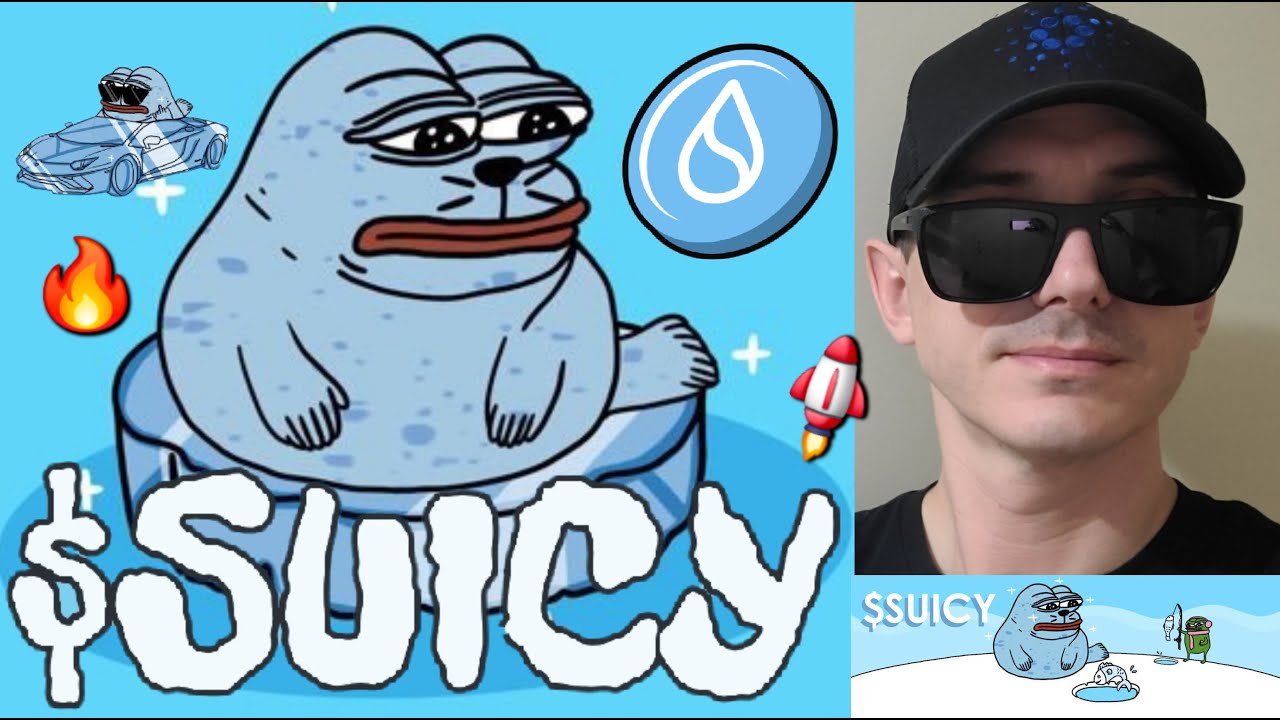 $SUICY - SUICY THE SEAL TOKEN CRYPTO COIN HOW TO BUY SUI ICY MEMECOIN ...
