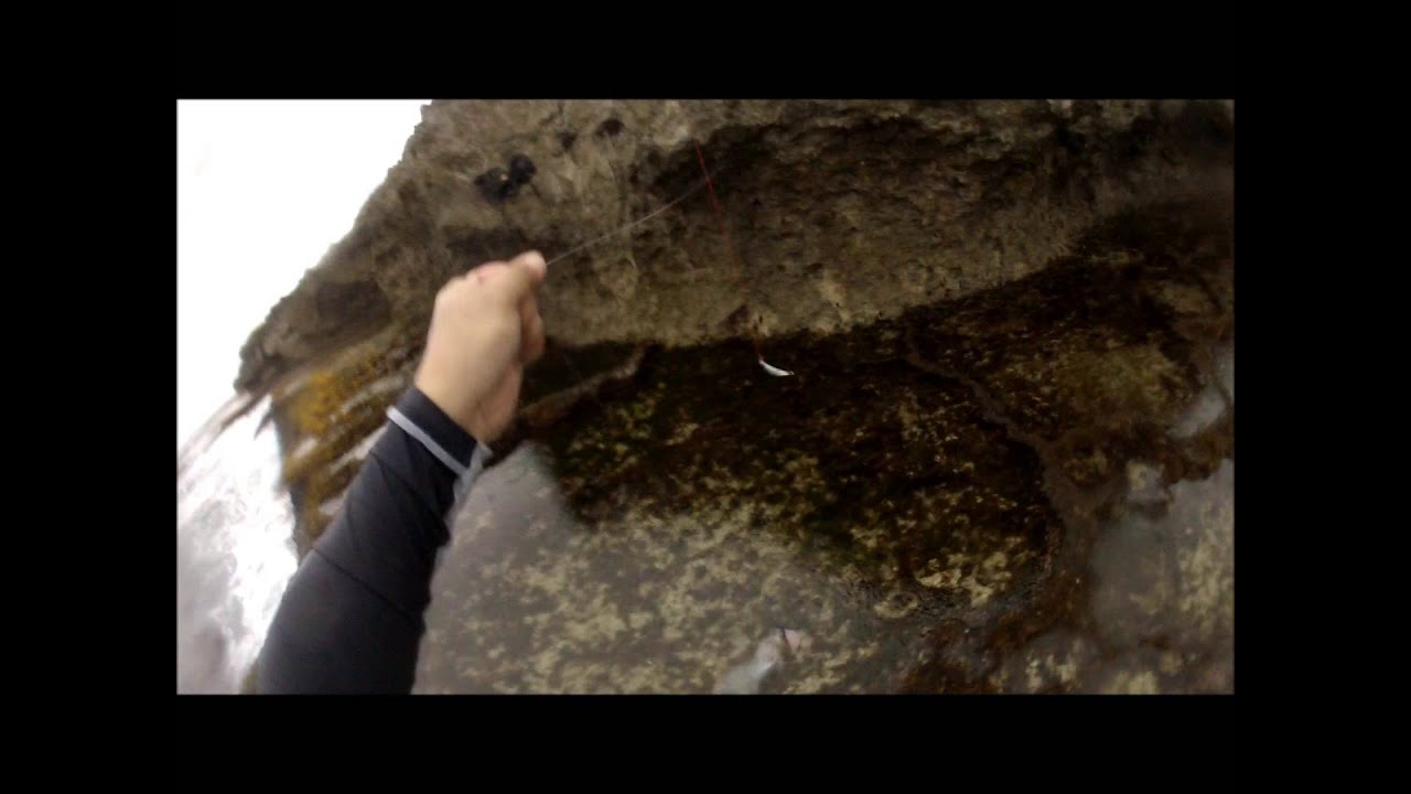 Whipping on Guam #8 Atulai/Jobfish/Papio/Mackerel - YouTube