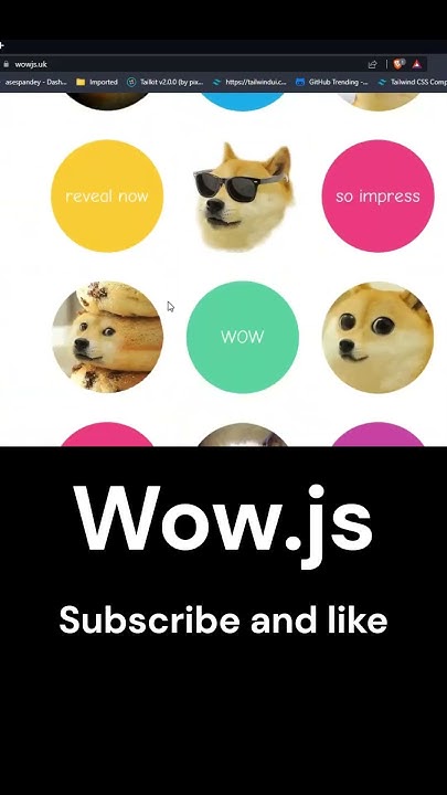 an amazing javascript library for scroll reveal animation - YouTube