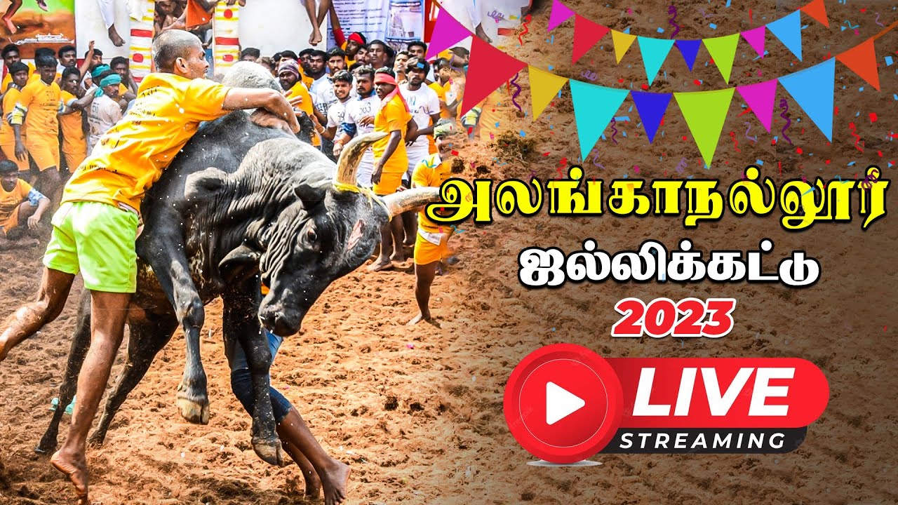 Alanganallur Jallikattu Live 2023 | அலங்காநல்லூர் ஜல்லிக்கட்டு நேரலை ...