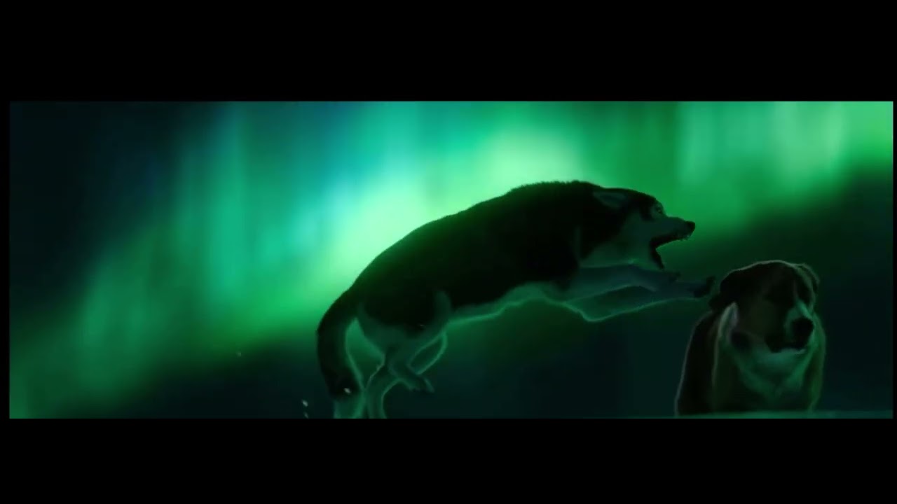 🐺alpha wolf vs enemy🐺 part 2 - YouTube