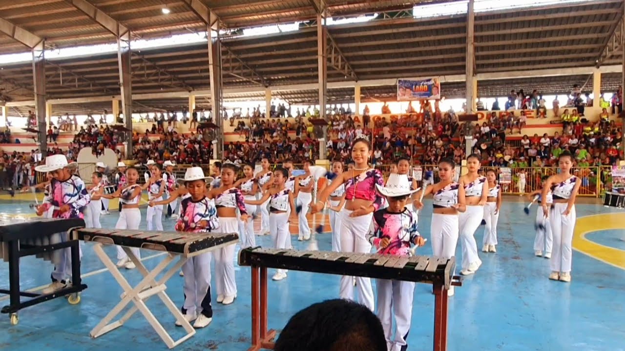Basud Central School 🎊 Labo Town Fiesta 2024 - DXC Competition Labo ...