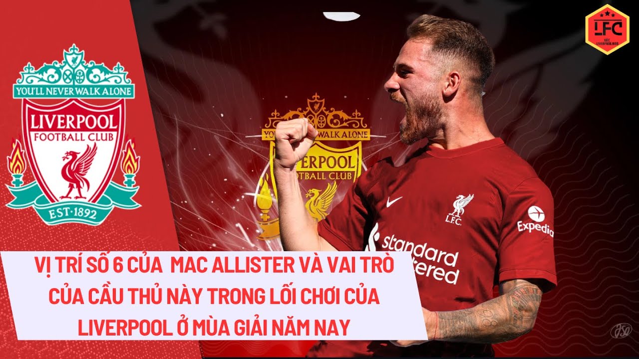 GÓC PHÂN TÍCH: VỊ TRÍ SỐ 6 CỦA ALEXIS MAC ALLISTER VÀ VAI TRÒ CỦA ANH ...