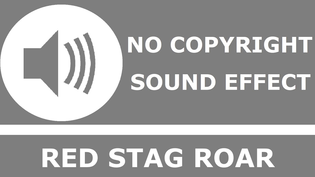 Red Stag Roar | No Copyright Sound Effect - YouTube