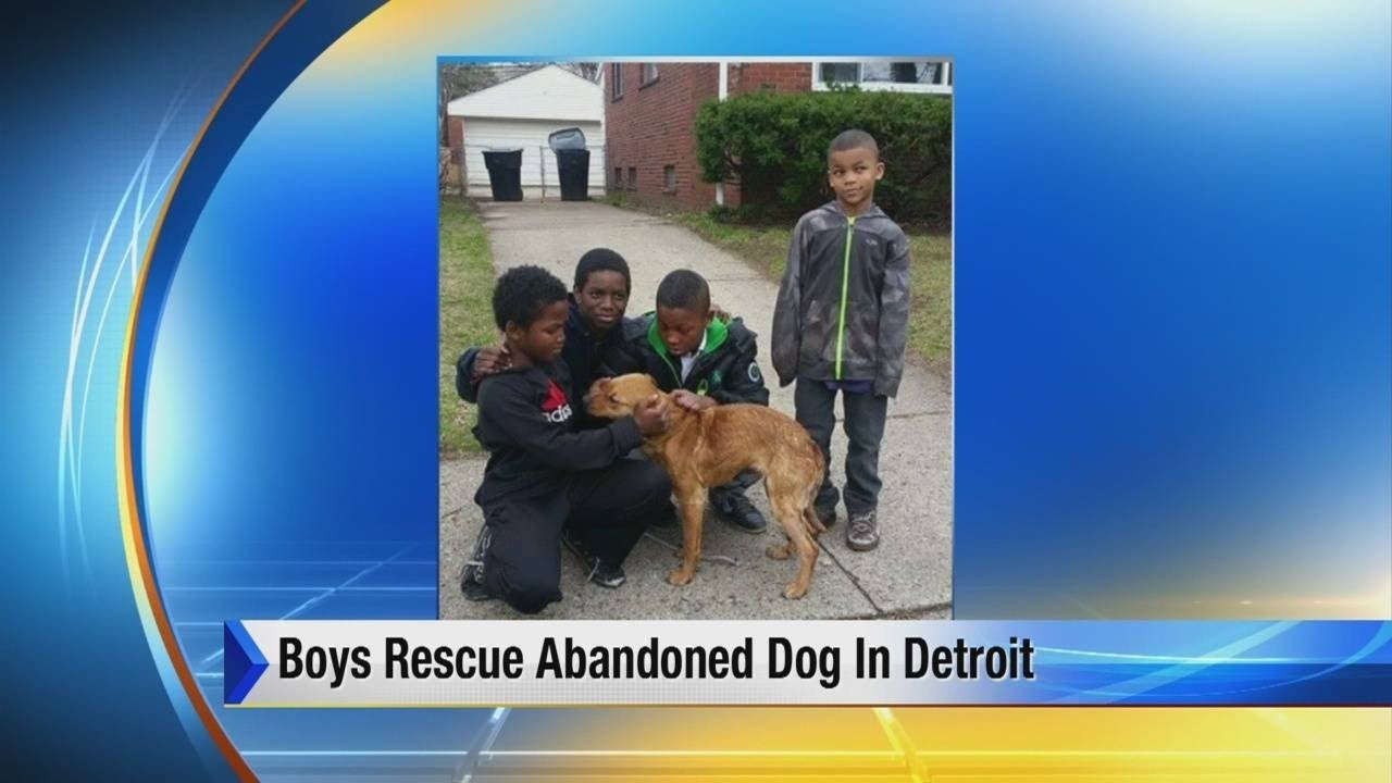 Boys rescue abandoned dog - YouTube