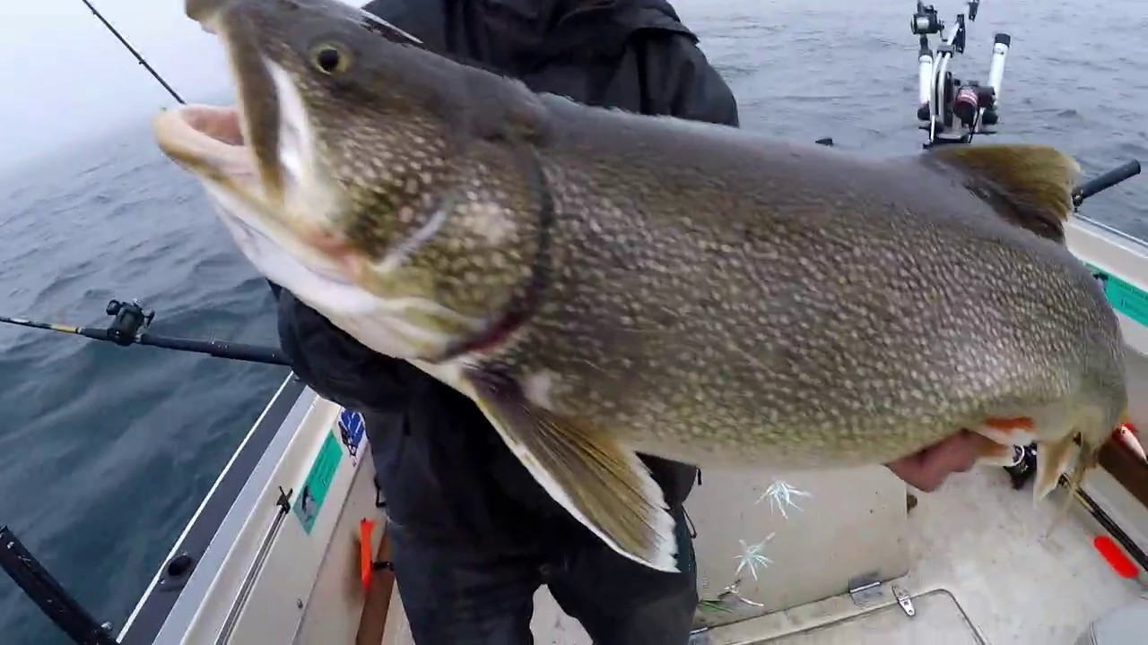 Spring 2017 Lake Michigan Fishing #3 - YouTube