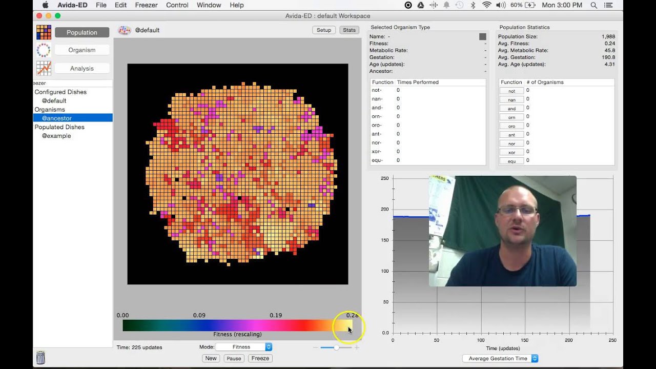 Avida-ED: Population View - YouTube