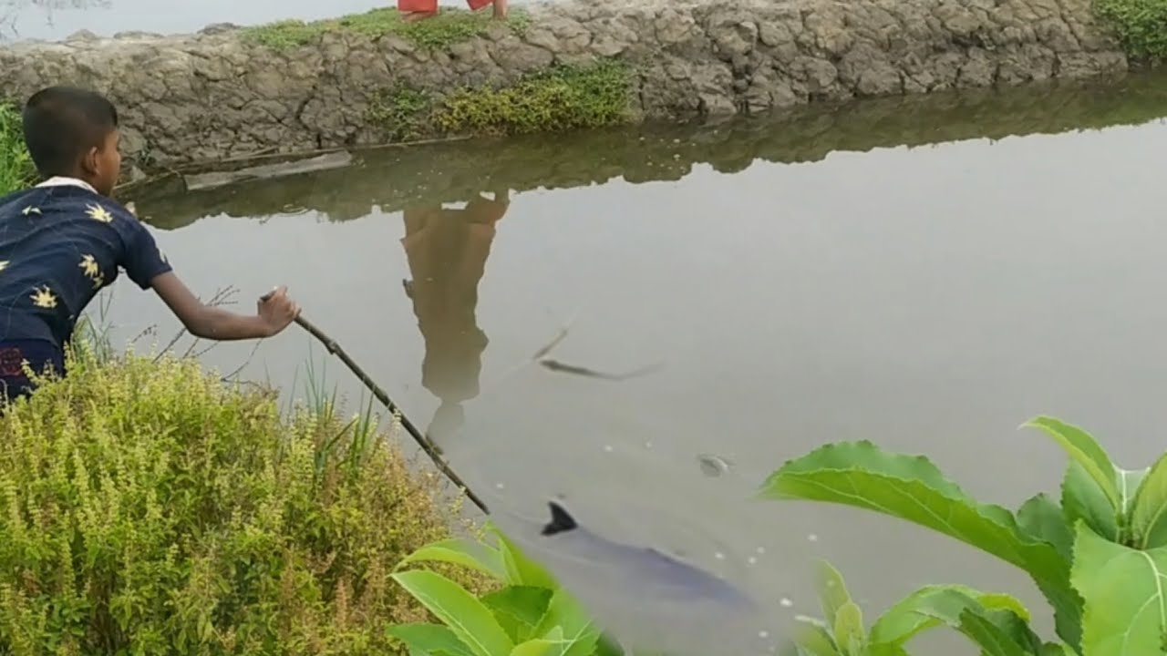 Fishing video of big fish in the water Awesome fish video lovely moment ...