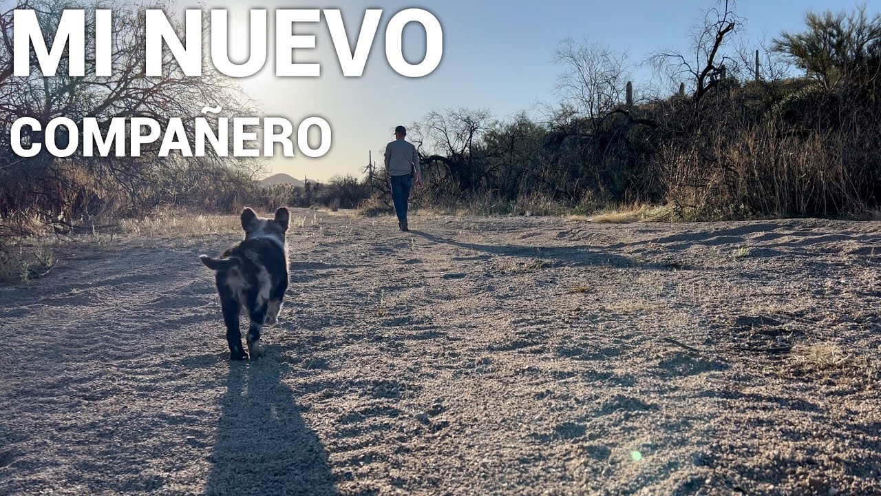 Les Presentó A Mi Nuevo Compañero - YouTube