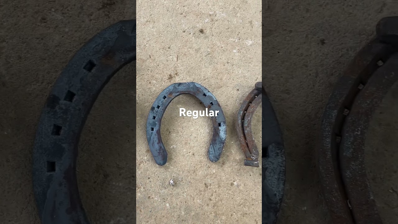 Chart Types Of Horseshoes Shoes For Horses | PetMD