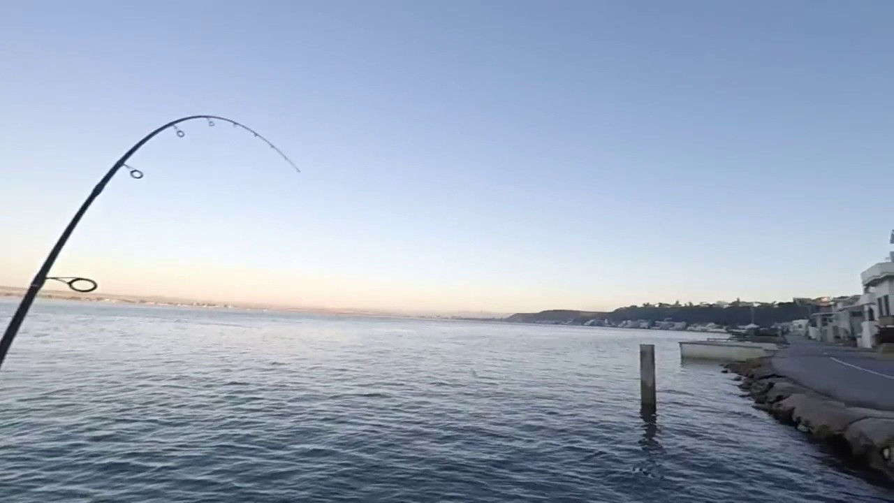 Swartkops River Skipjack 17 March 2017 - YouTube