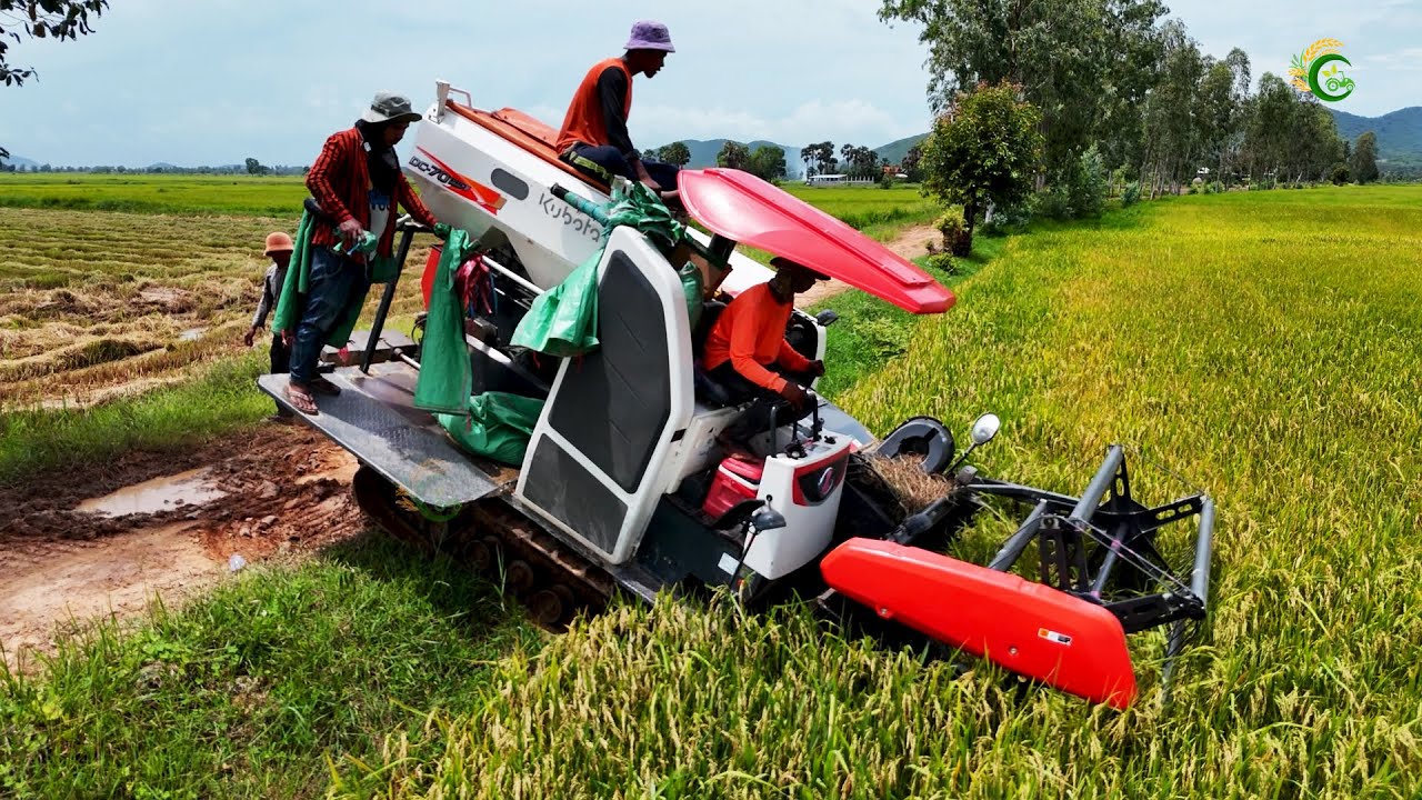 Fantastic Rice Harvester Machine Start New Rice Cropping Agriculture ...