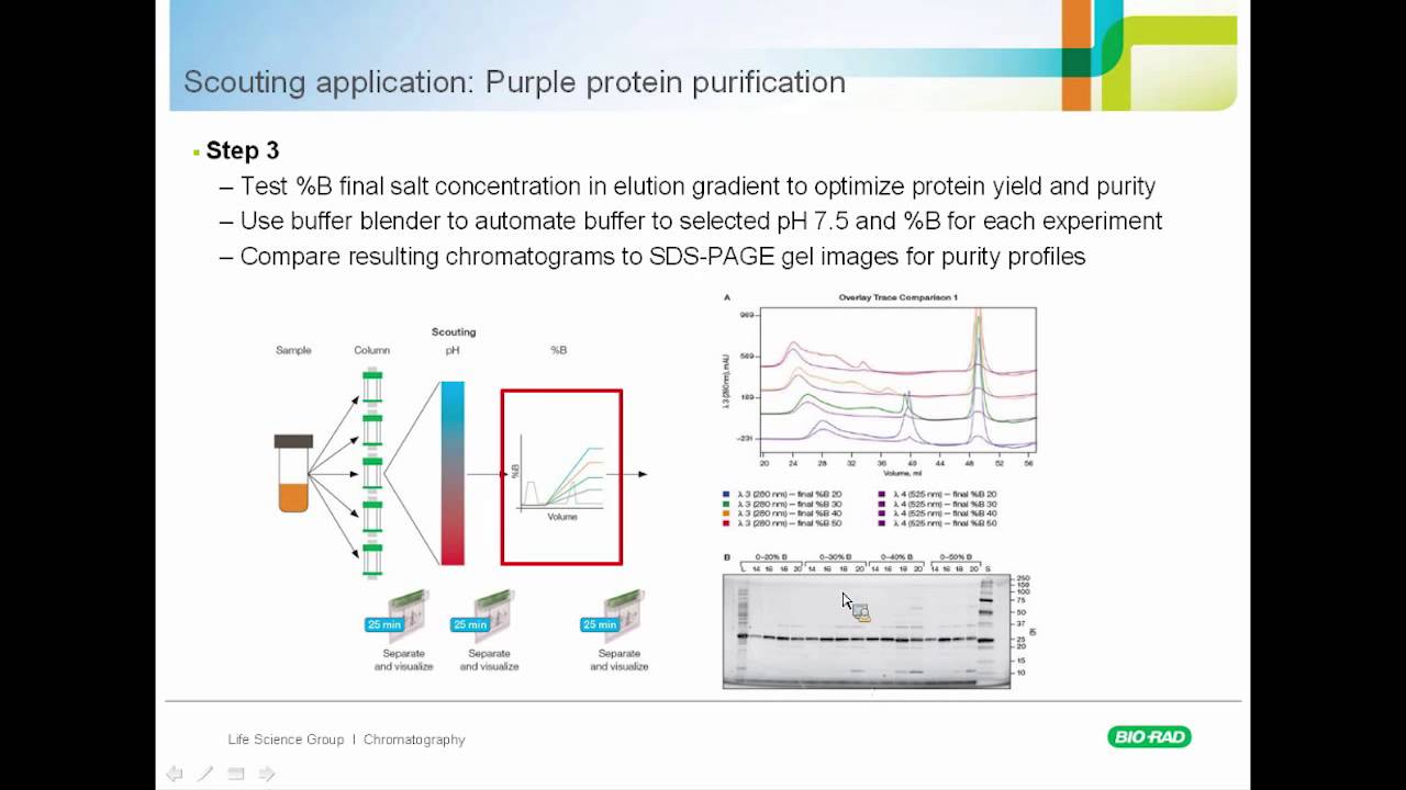 Optimization to Automation: The Advantages of Multidimensional (Multi-D ...