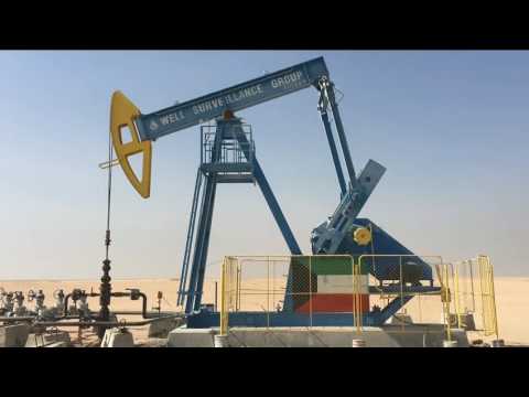 Unico(r) Sucker Rod Pump Cleaning Mode - YouTube