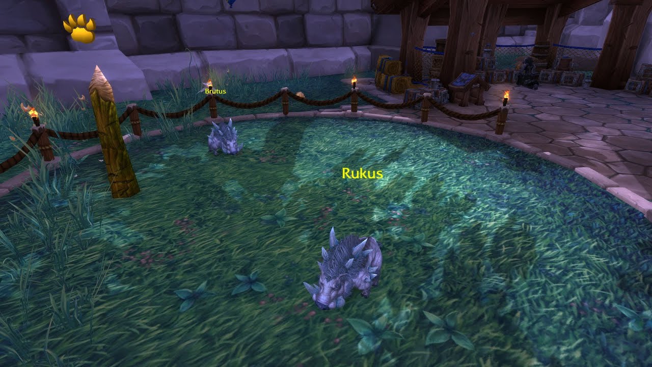 Brutus & Rukus Battle Pet Guide - World of Warcraft - YouTube