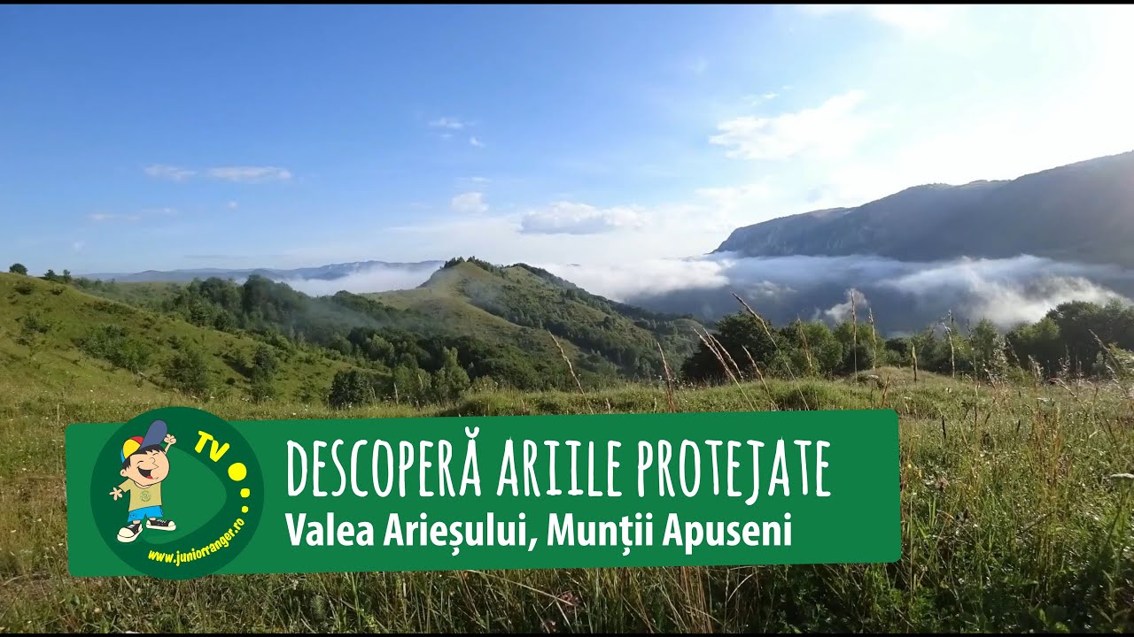 Descoperă ariile protejate de pe Valea Arieșului (2018) - YouTube
