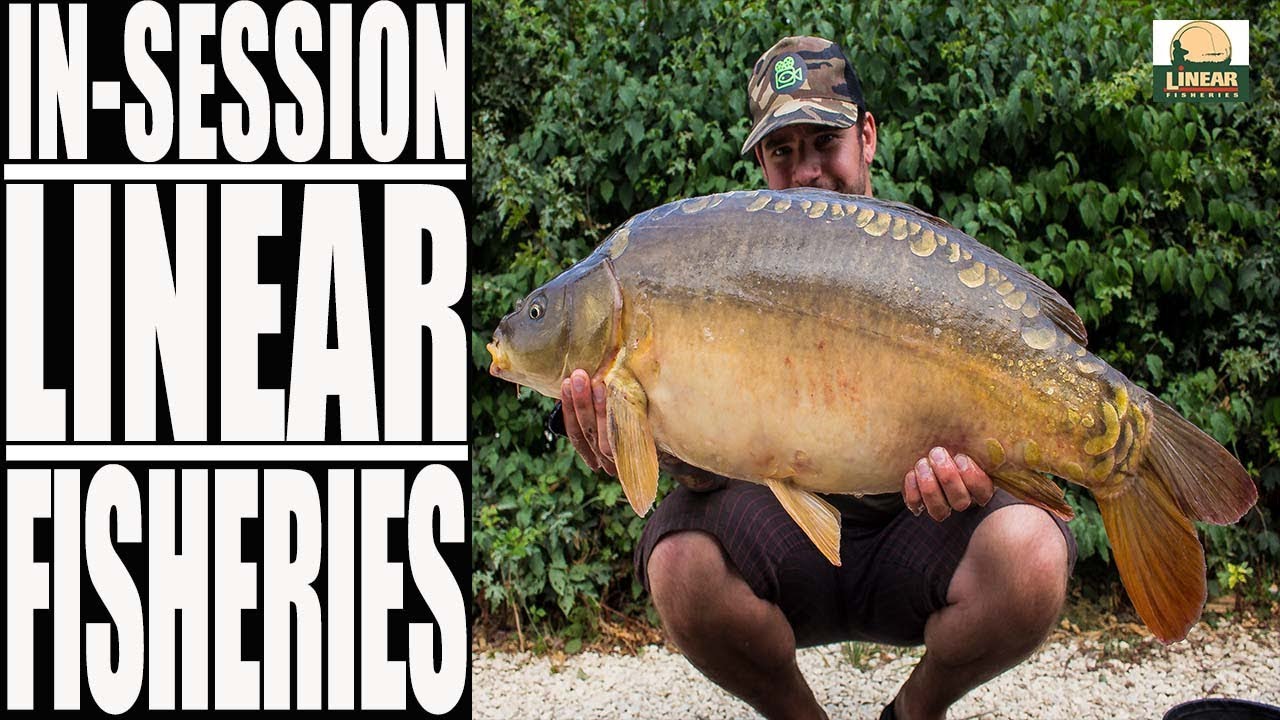 CARP FISHING - Linear Fisheries - YouTube