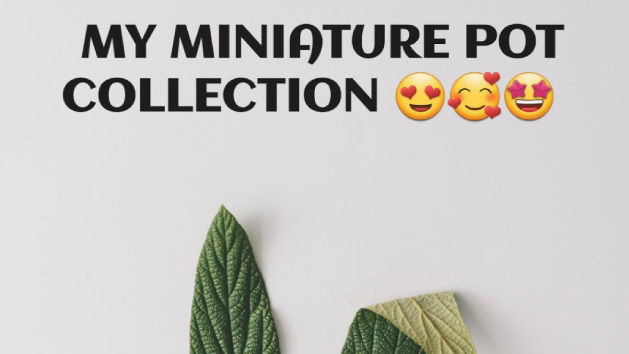My miniature pot collection 😍/jeni's diary - YouTube
