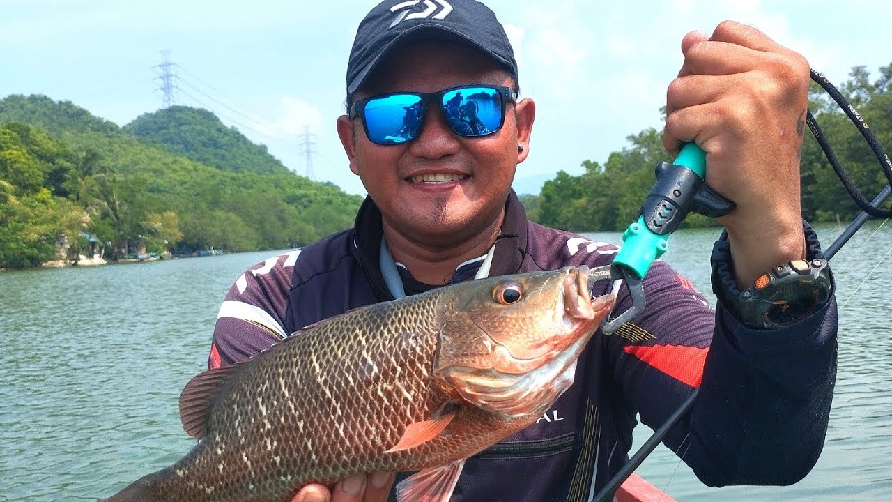 Pagbilao Quezon fishing spot. Mangagat or Mangrove snapper hunt # ...