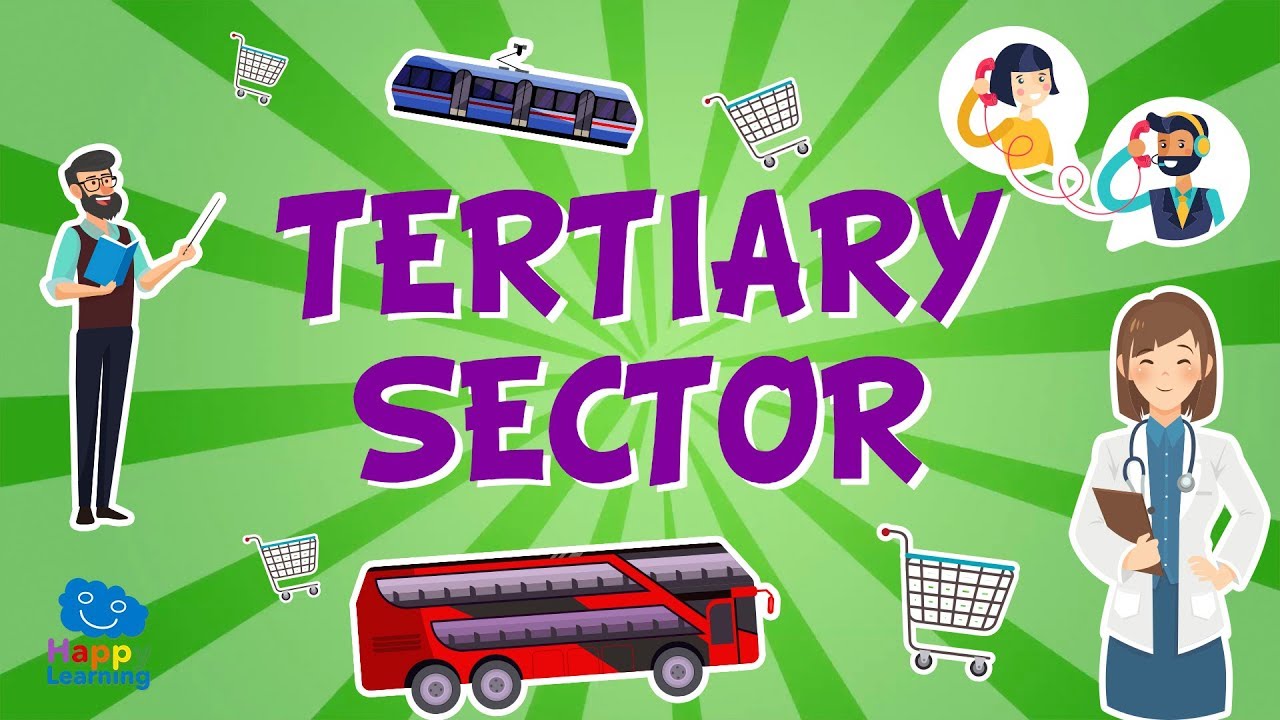 The Tertiary Sector Jobs And Their Classification Educational The Tertiary Sector Jobs And Their Classification Educational