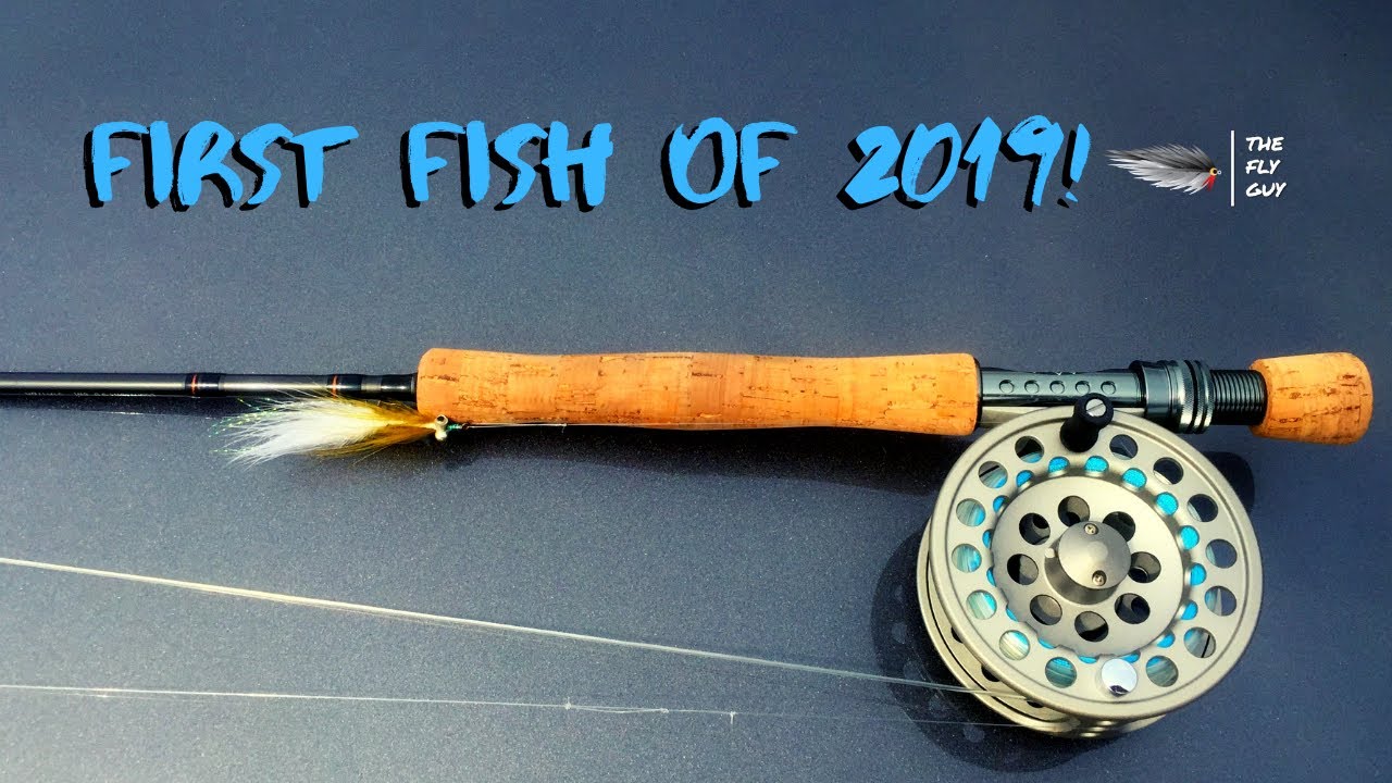 Early Spring Fly Fishing For Bass In Ohio - New Gear & First Fish Of ...