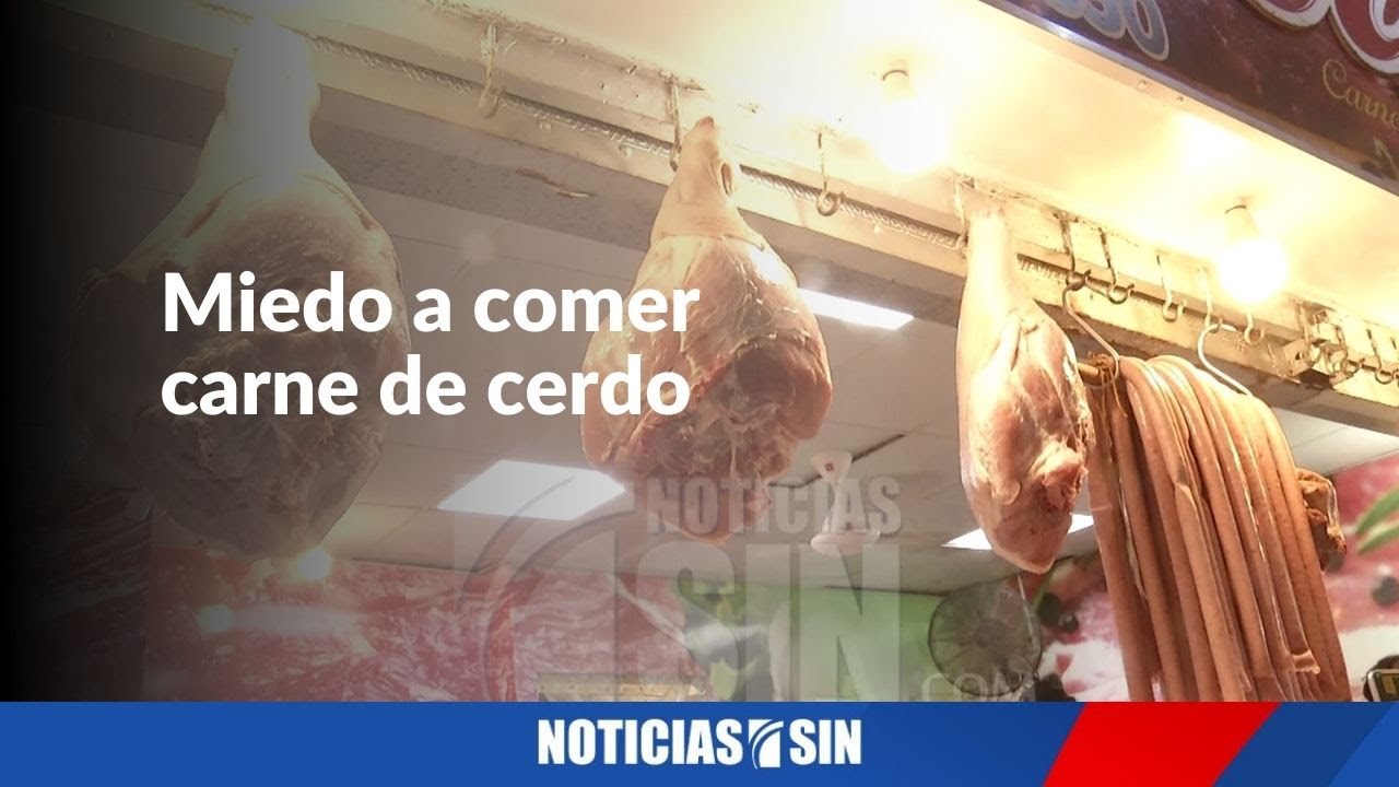 Consumidores con temor a comprar cerdo por gripe porcina - YouTube