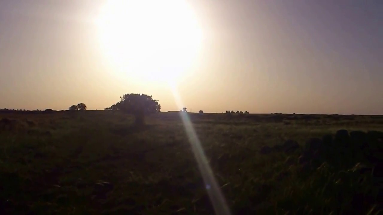 Bashan (Golan) 6/Apr/2018. Israel. - YouTube