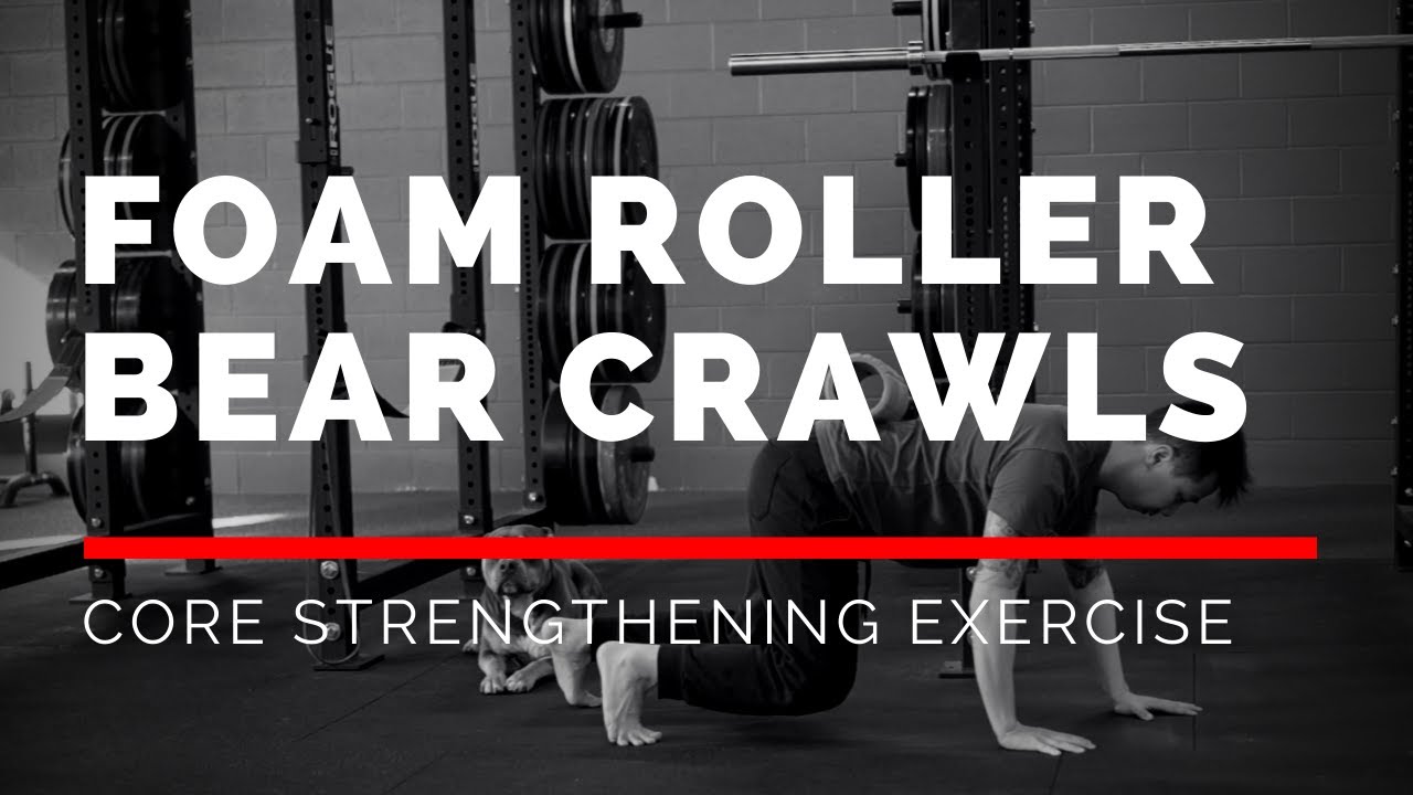 Foam Roller Bear Crawls (The BEST CORE STRENGTHENING EXERCISE) - YouTube